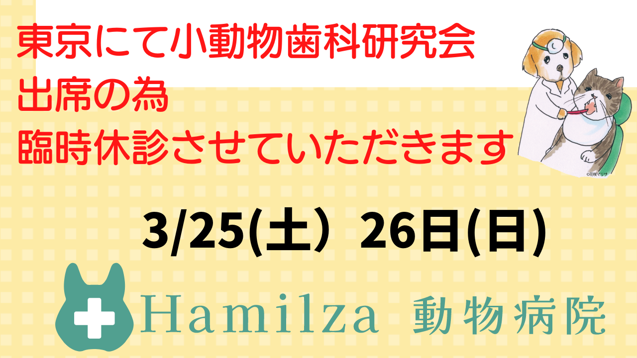 東京へ小動物歯科研究会の為臨時休診させていただきます | 新着情報 | 西宮市の動物病院(大阪・兵庫対応)｜Hamilza(ハミルザ)動物病院