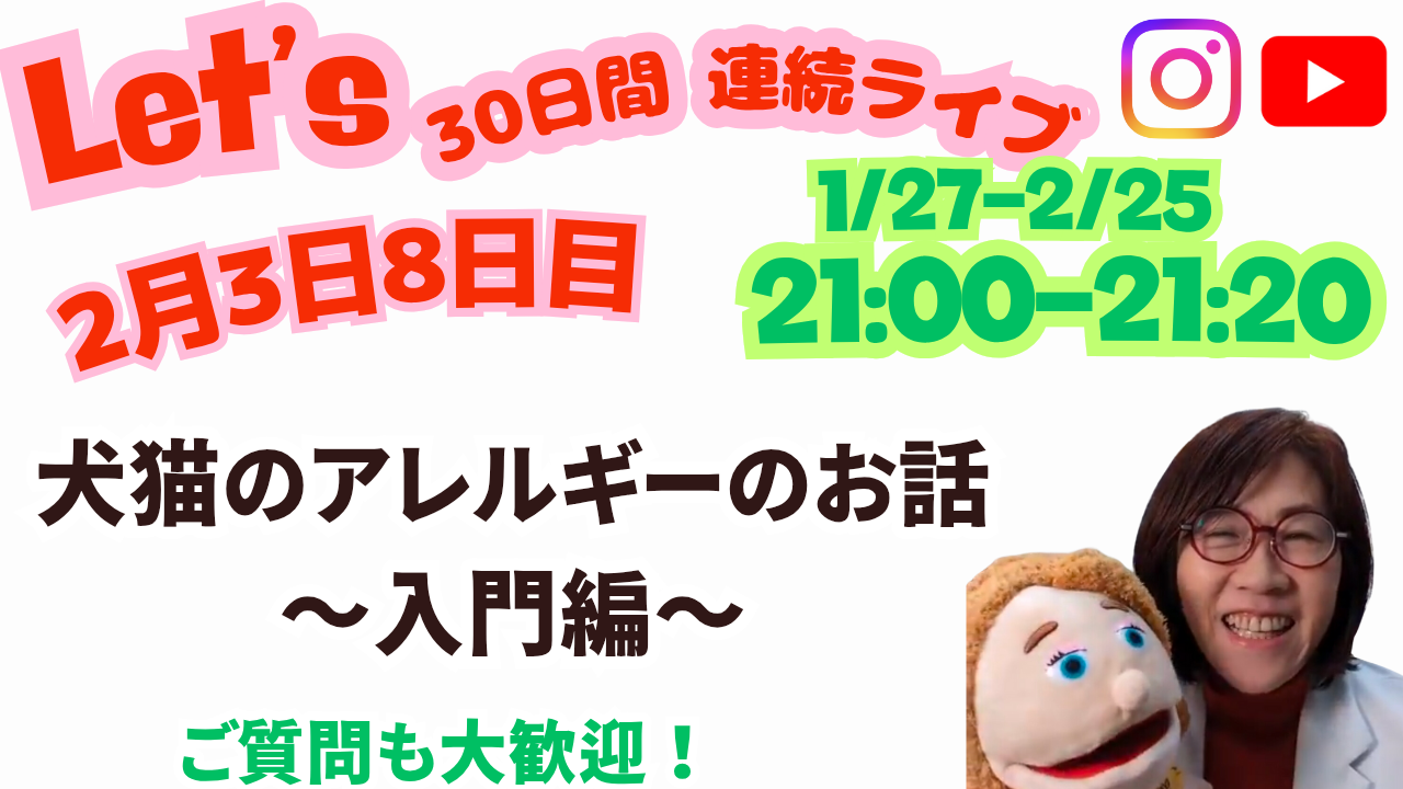 | 新着情報 | 西宮市の動物病院(大阪・兵庫対応)｜Hamilza(ハミルザ)動物病院