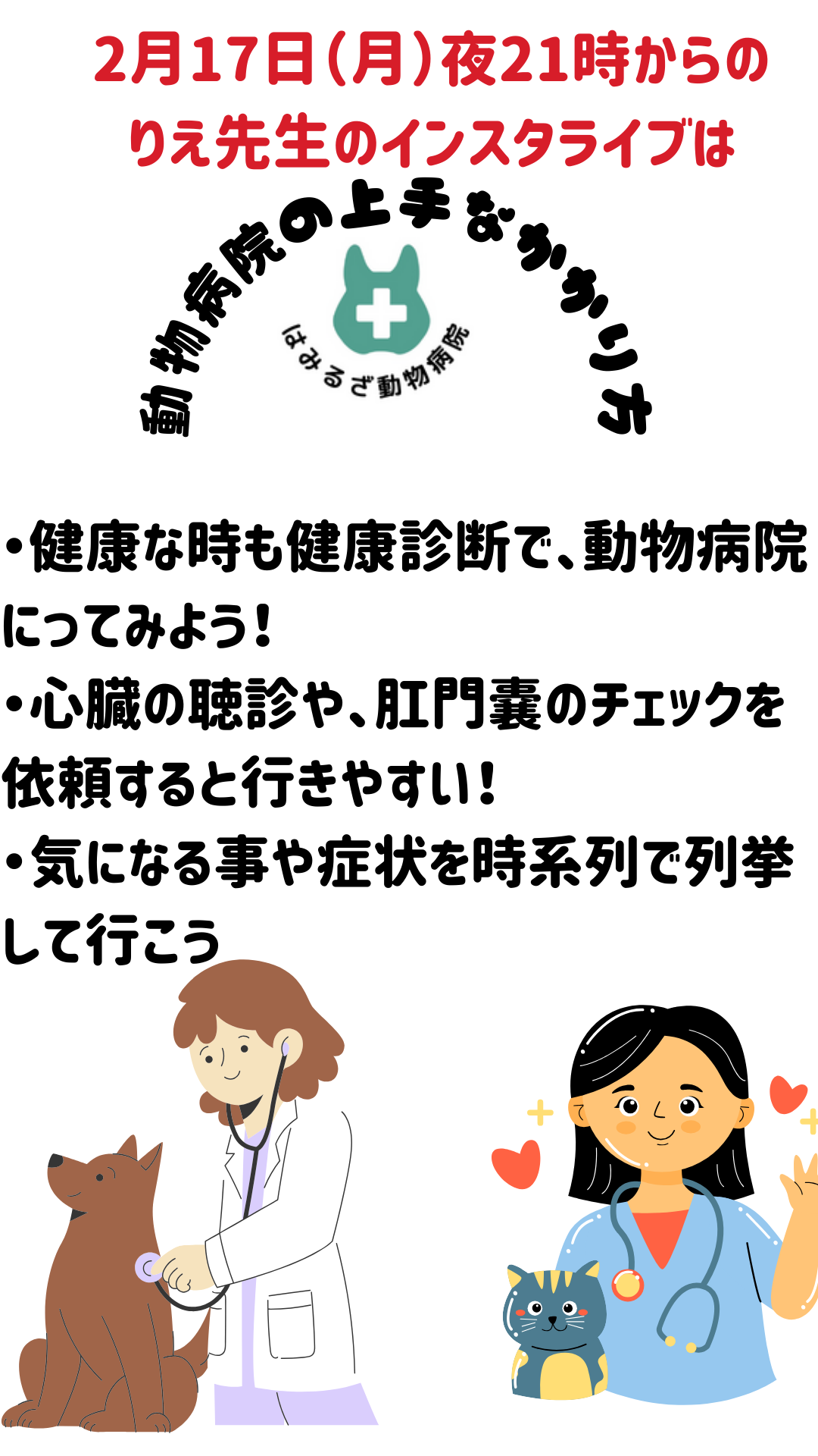 今夜9時からインスタライブは動物病院の使い方 | 新着情報 | 西宮市の動物病院(大阪・兵庫対応)｜Hamilza(ハミルザ)動物病院